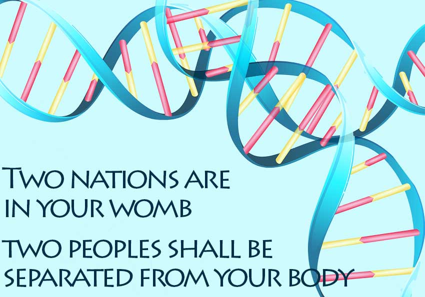 Genealogy Of Abraham's Chart - Abraham's Family Tree